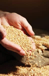 BElixz SHIRUTO - BE International