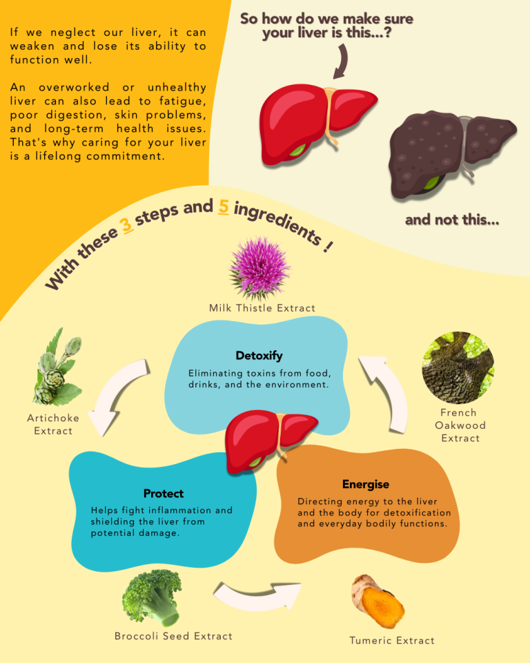 Your Liver, Your Health: World Liver Day 2025 | The Liver‘s Story You ...